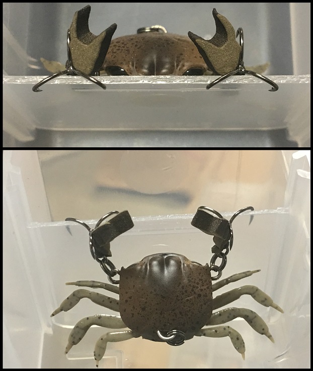 Best Recommended Storage Instructions for CRANKA Crabs